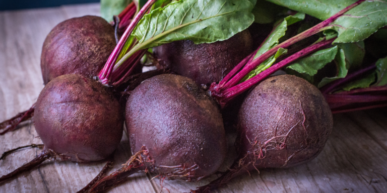 Gut Advisor - Your guide to a healthy gut